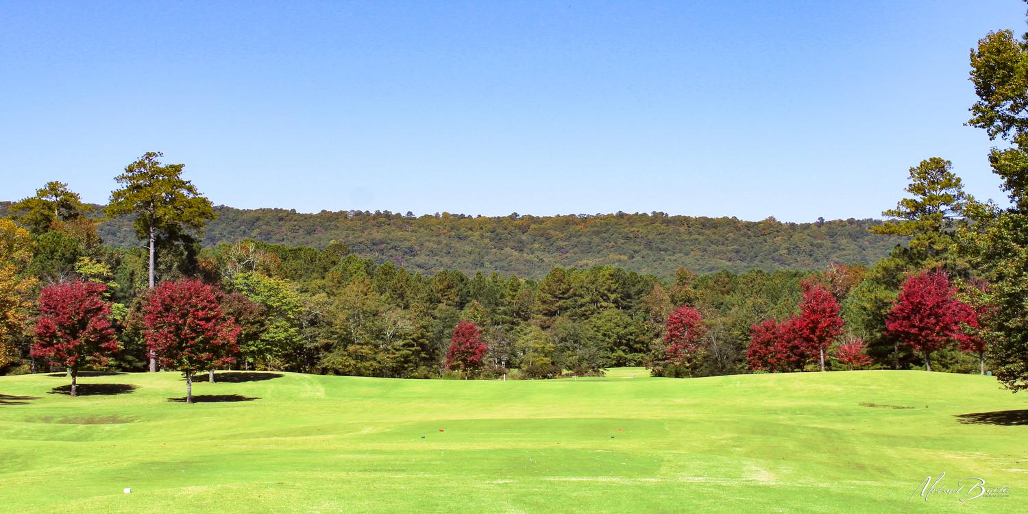 Stonebridge Golf Course By David Theoret